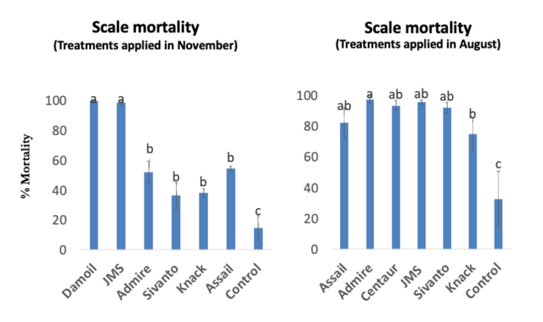 Identification & Management of Scale Insects in Blueberries ...