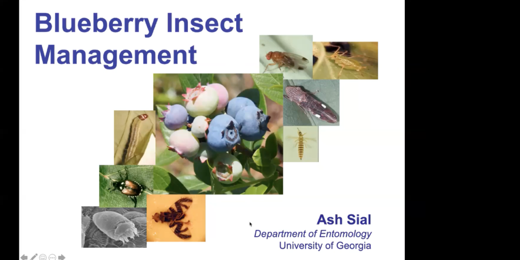 Blueberry Presentations | Integrated Pest Management