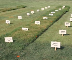 Presentations and Trainings | Integrated Pest Management